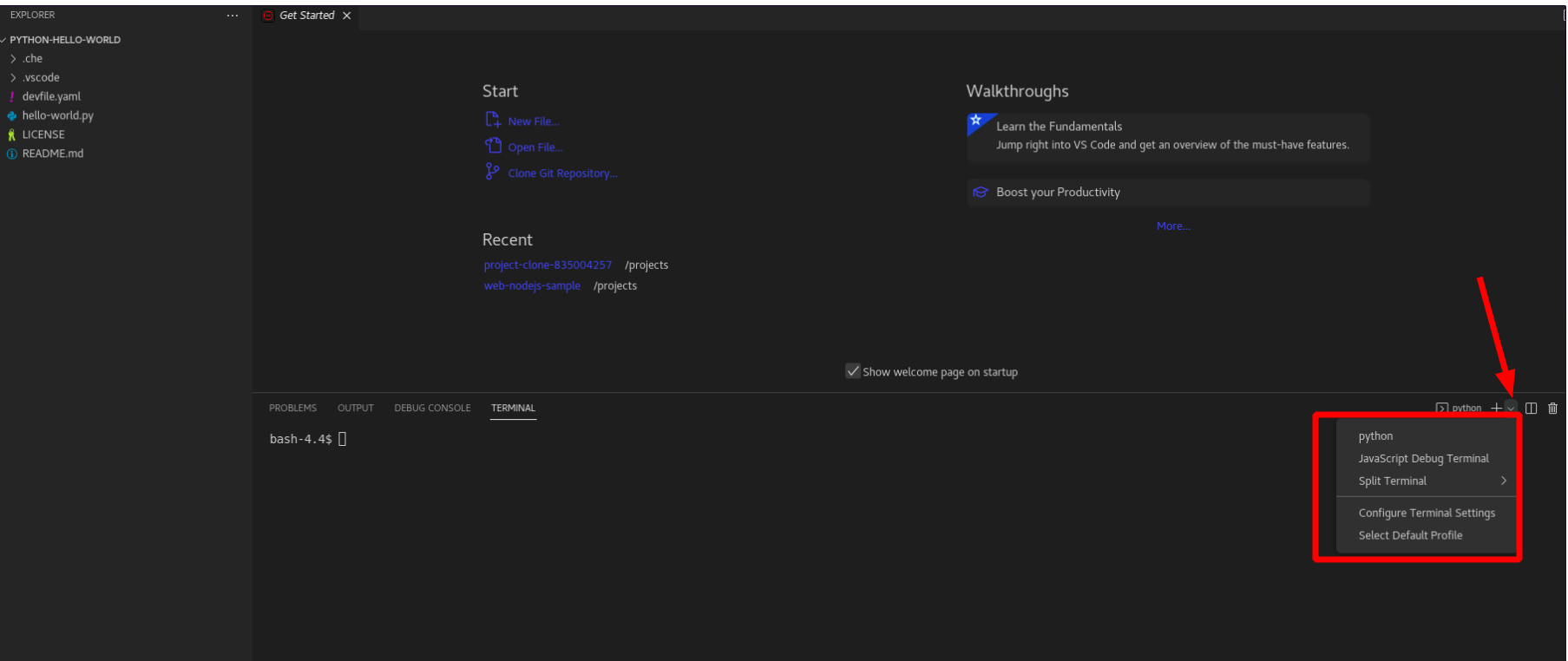 Adding a container breaks the terminal listing in VSCode IDE - Red Hat Customer Portal